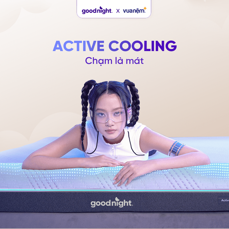 Nệm Foam Công Nghệ Mới Goodnight Active Hybrid Dày 20cm