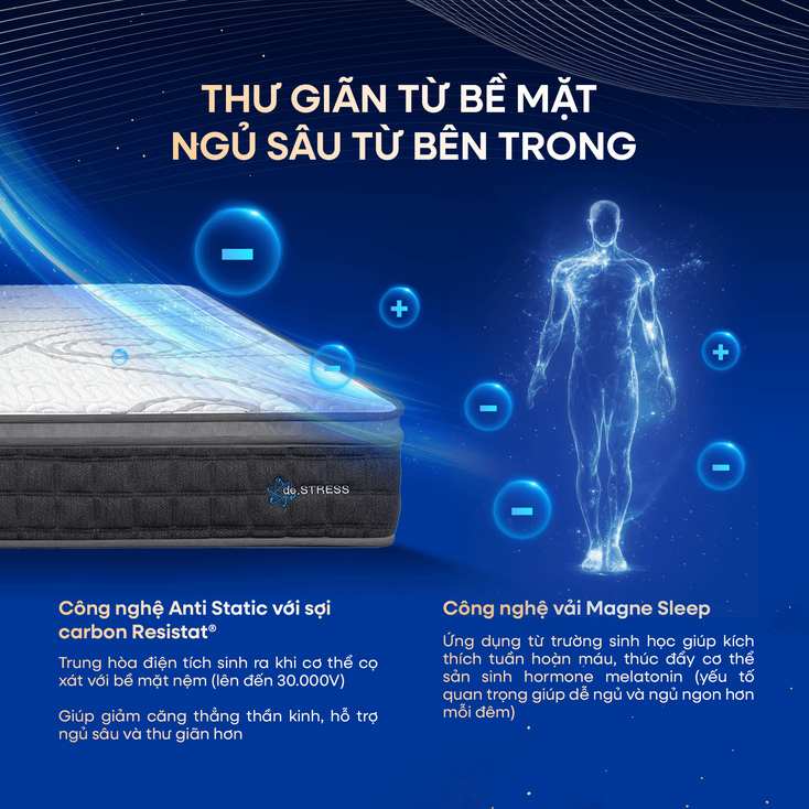 Nệm Lò Xo Túi Độc Lập 3 Vùng Dunlopillo de.Stress Powerful