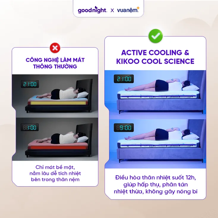 Nệm Foam Công Nghệ Mới Goodnight Active Hybrid Dày 20cm